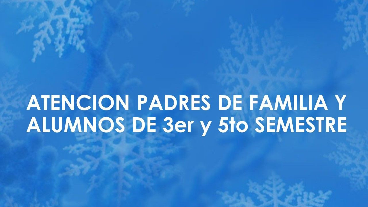 CBTis No. 137 - contenido